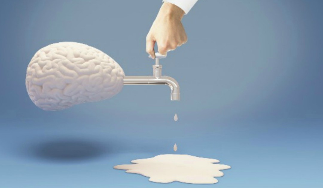 Do You Suffer from Leaky Brain Syndrome? - Mosswood Connections