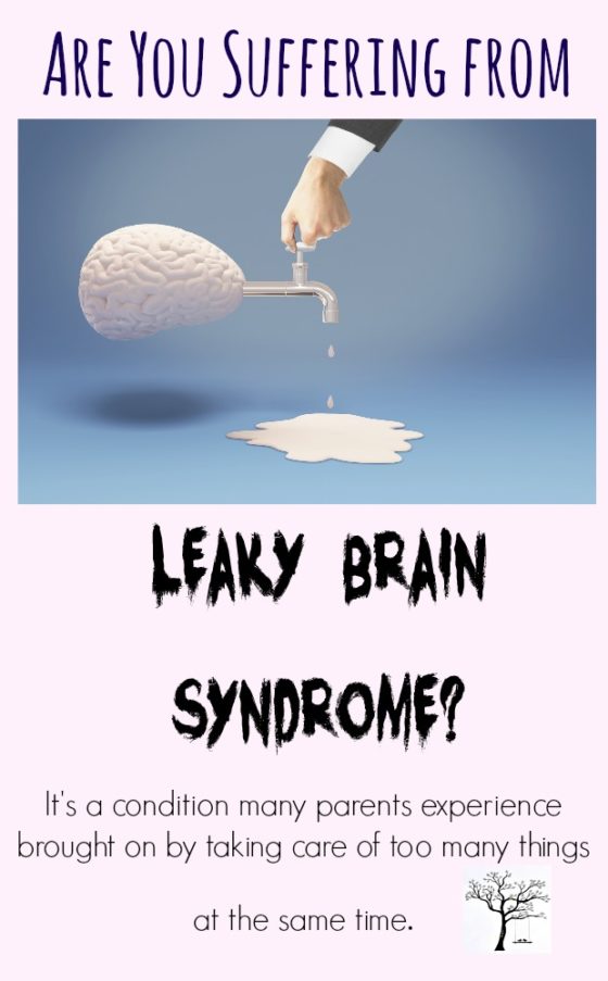 Do You Suffer from Leaky Brain Syndrome? - Mosswood Connections