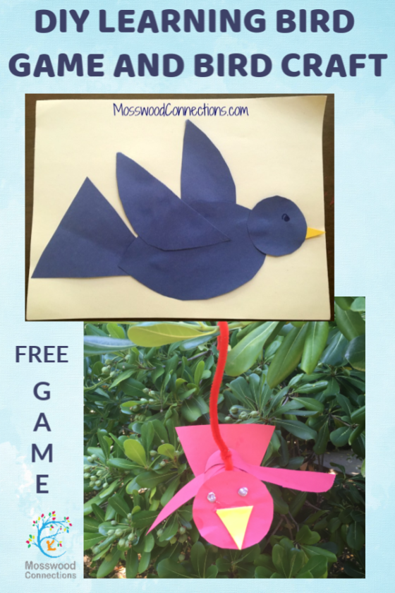 A Bird Game and Bird Craft - Mosswood Connections