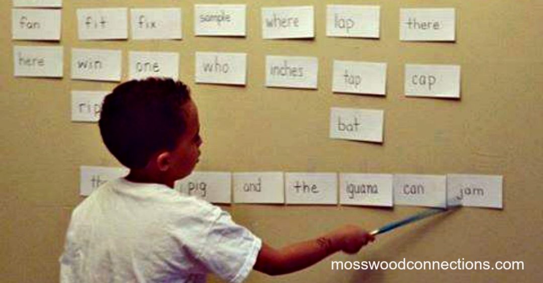 Wacky Words Sight Words Reading Game - Mosswood Connections