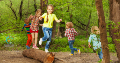 Forest Lessons: Learning from Nature Activities - Mosswood Connections